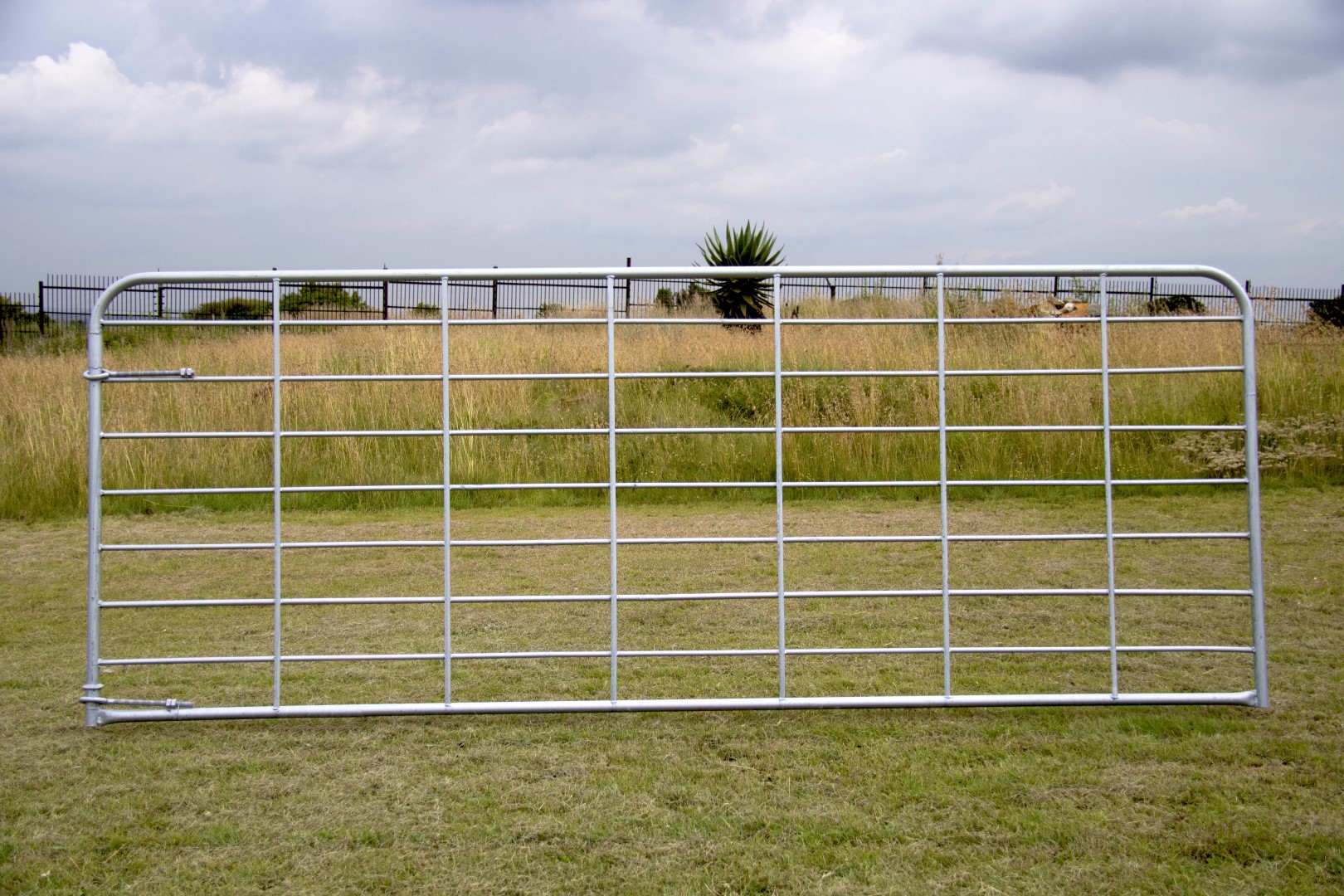 Auction Gate Photos – Galilee Gates