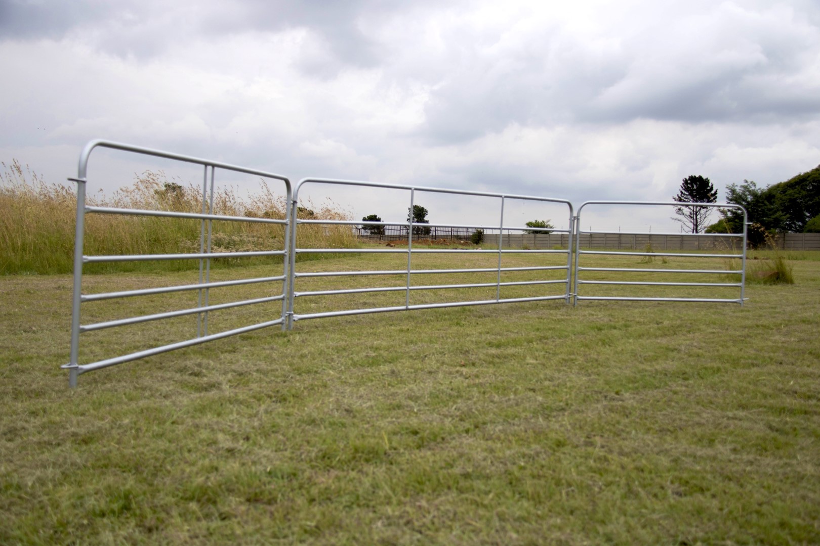 Goats – Galilee Gates