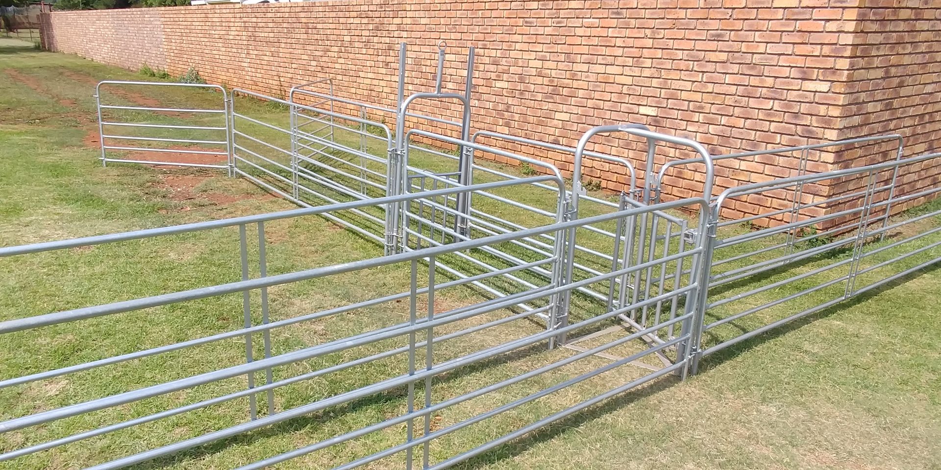 Goats – Galilee Gates