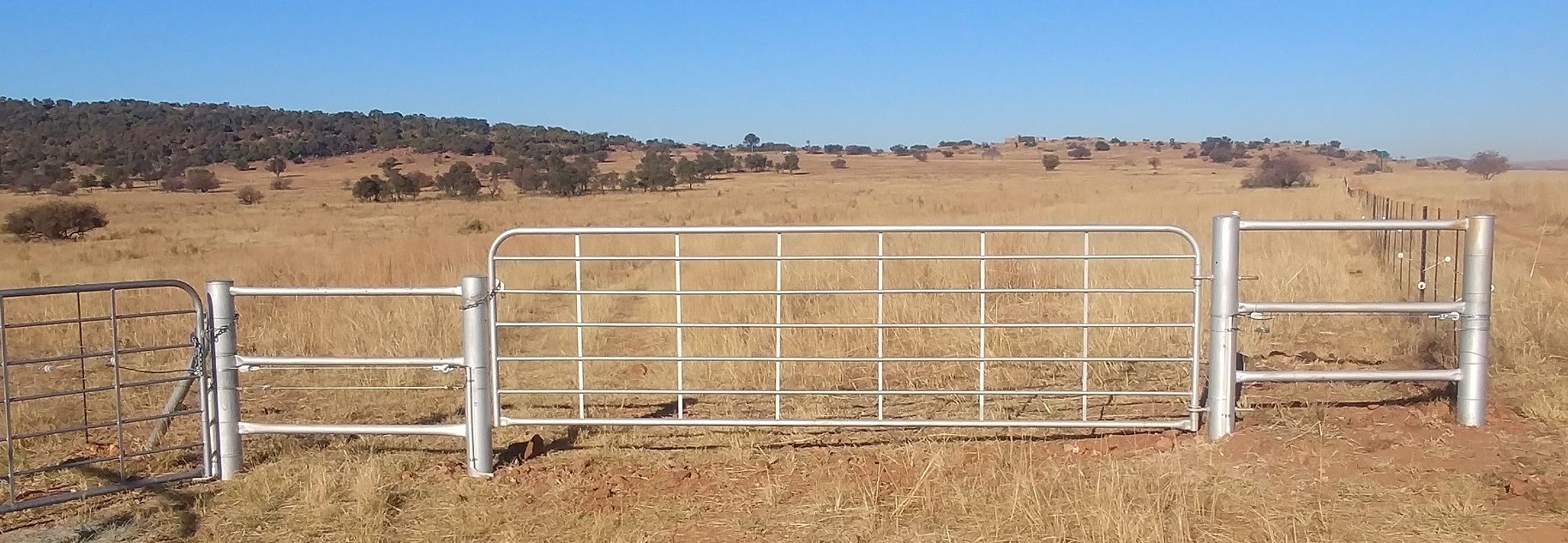 Auction Gate Photos – Galilee Gates