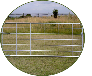 Gallery – Galilee Gates